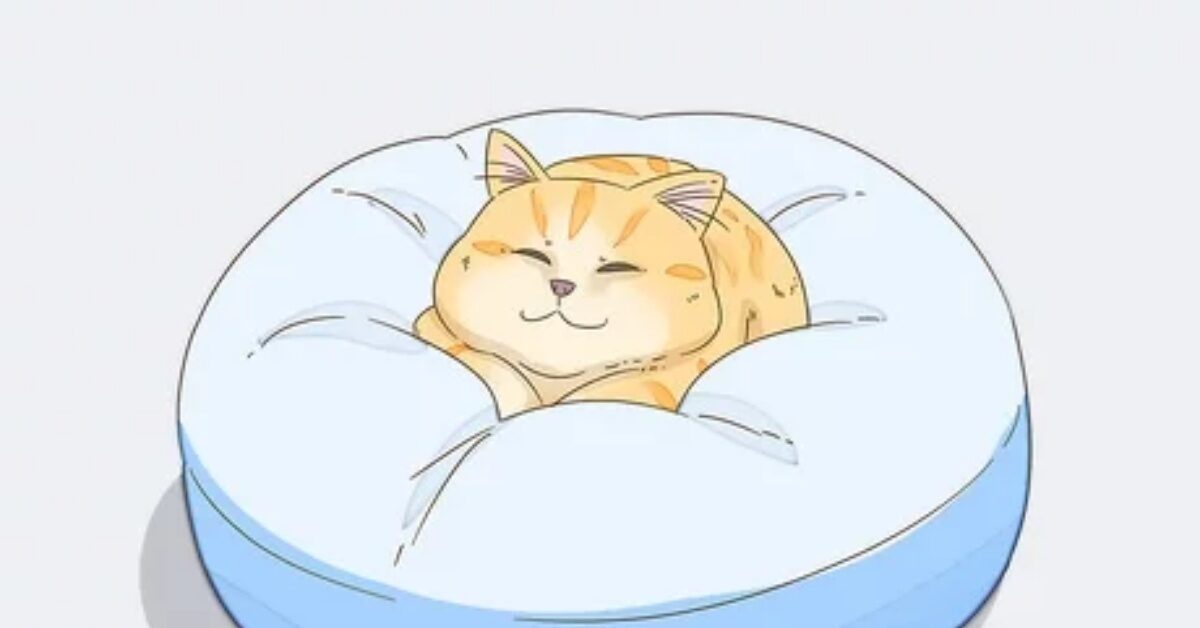 4 ragioni per cui i gatti 4 ragioni per cui i gatti